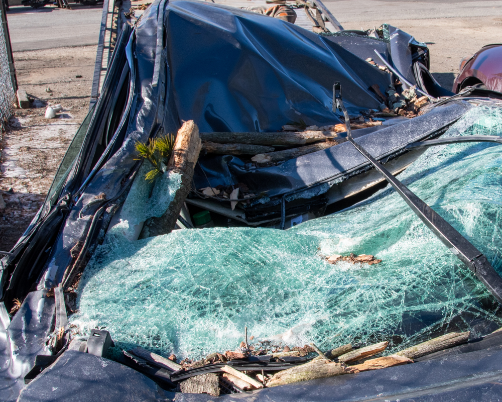 Lucky person survives huge tree crushing moving car in Salem | News ...